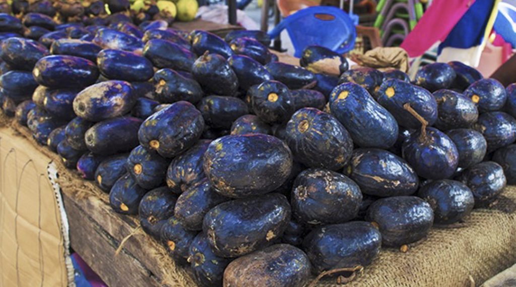LE SAFOU UN FRUIT À MULTIPLES VERTUS - LACONGOLAISE 242